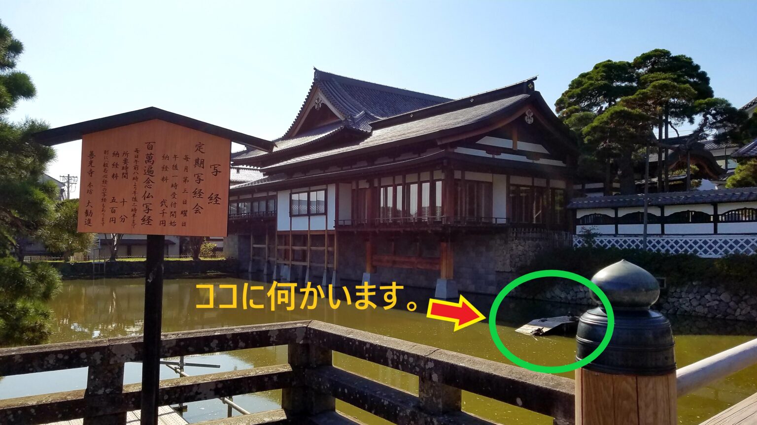 【信州善光寺】その大きさと御朱印の数に圧倒 – ページ 2 – コジログ。